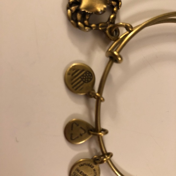 Alex and Ani | Jewelry | Alex And Ani Crab Bracelet | Poshmark